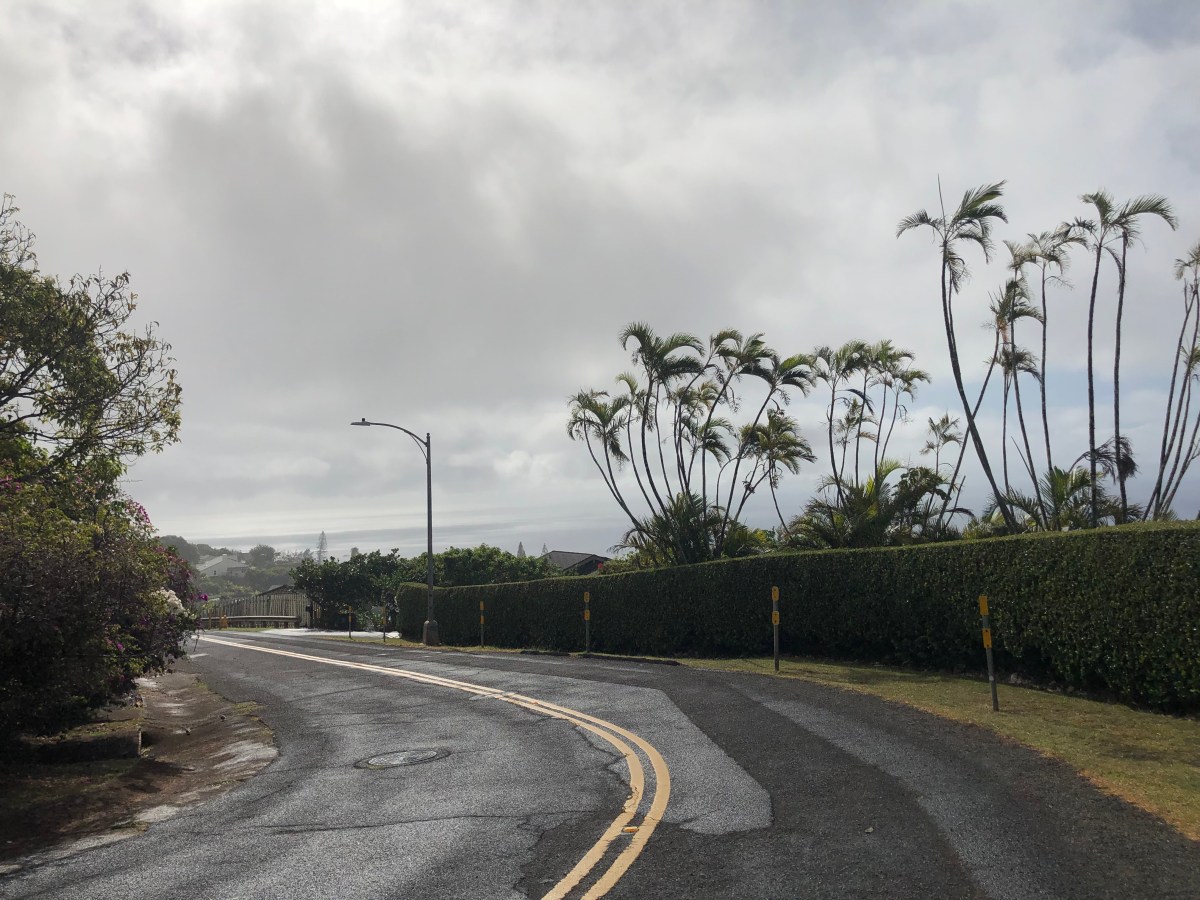 A Spontaneous Run Up (and Down) Wilhelmina Rise – Still a Runner